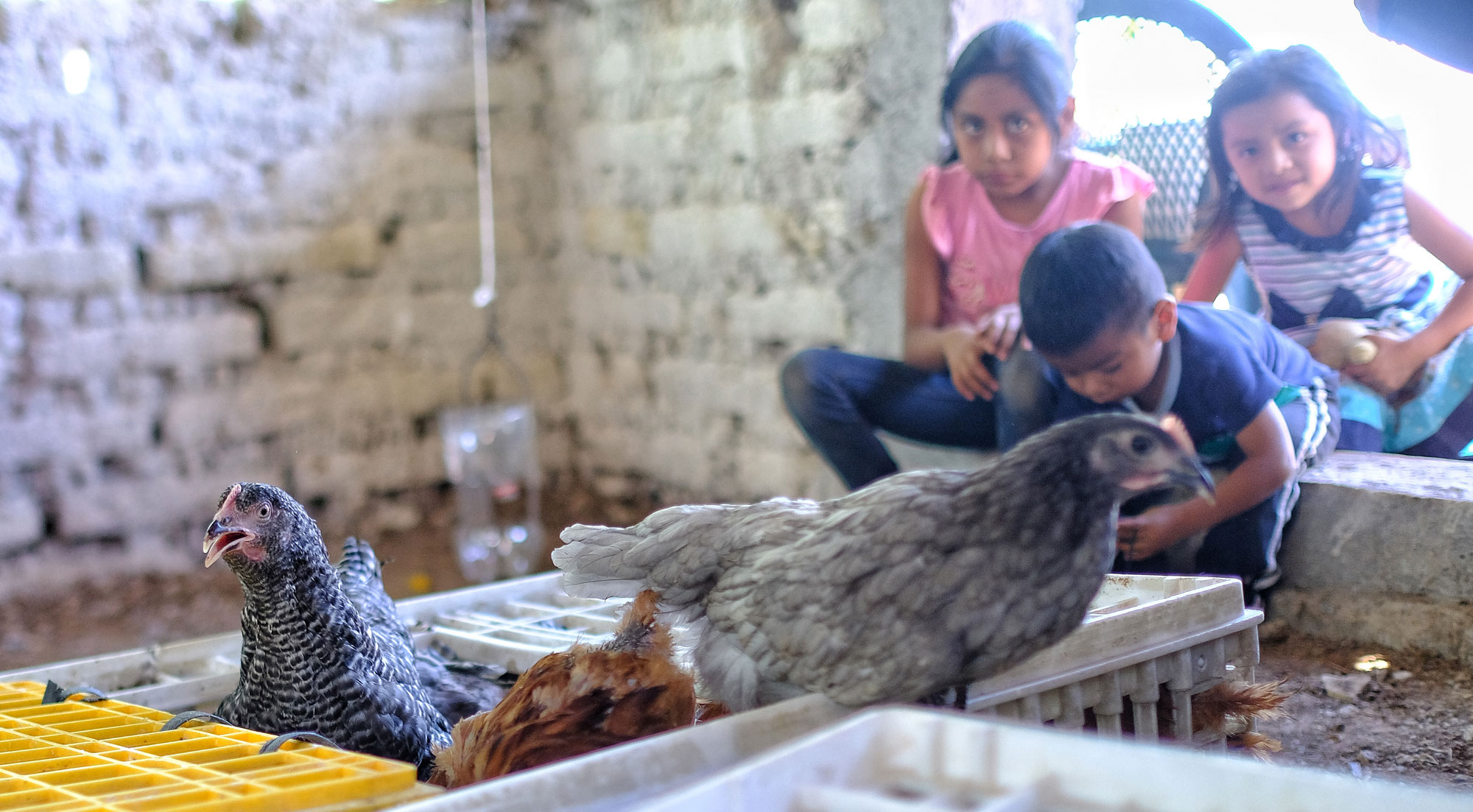 Increased Food Security in Del Maguey Producing Villages ⋆ Del Maguey ...